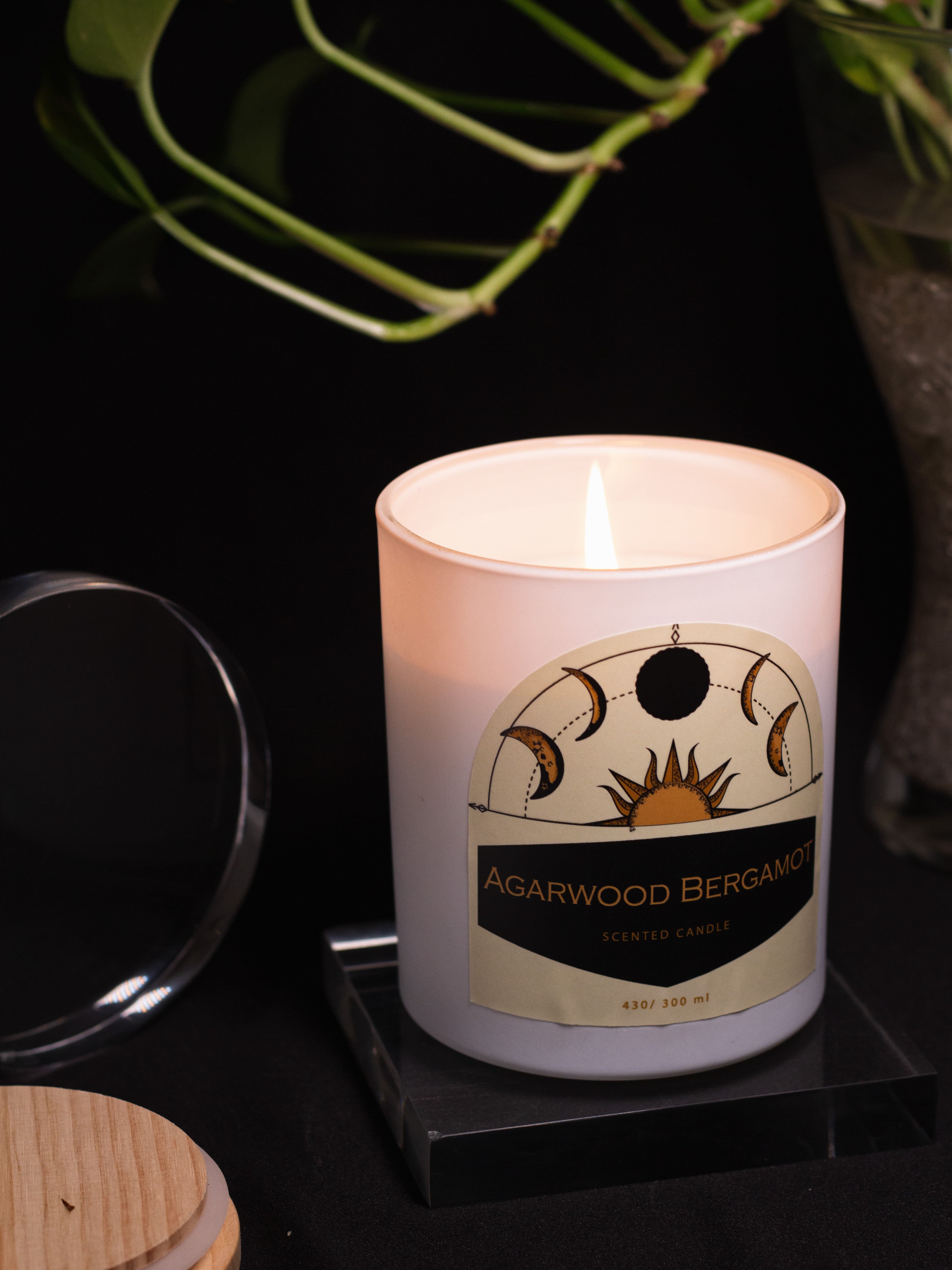 Customized Candles – Motion Trading